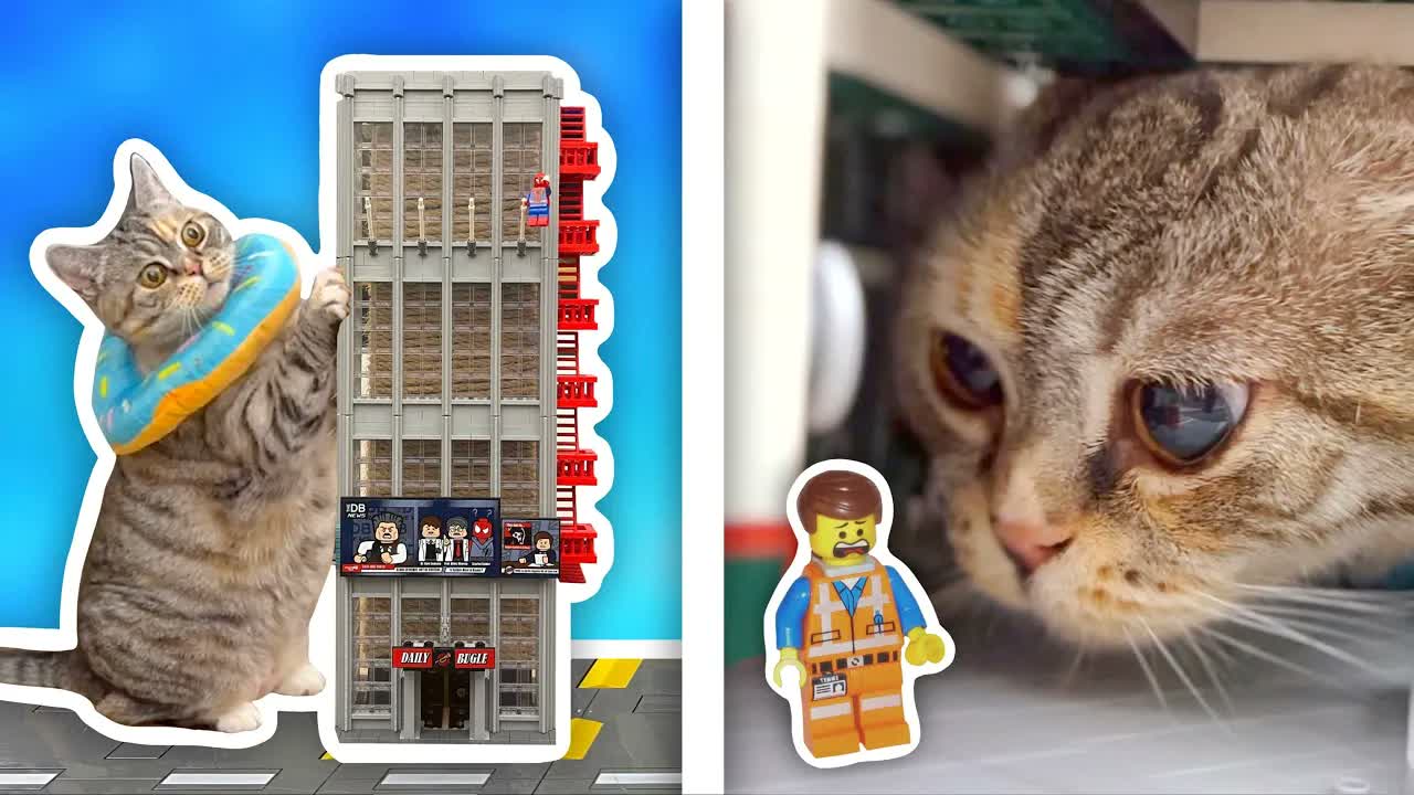 Lego City vs cat… not even close