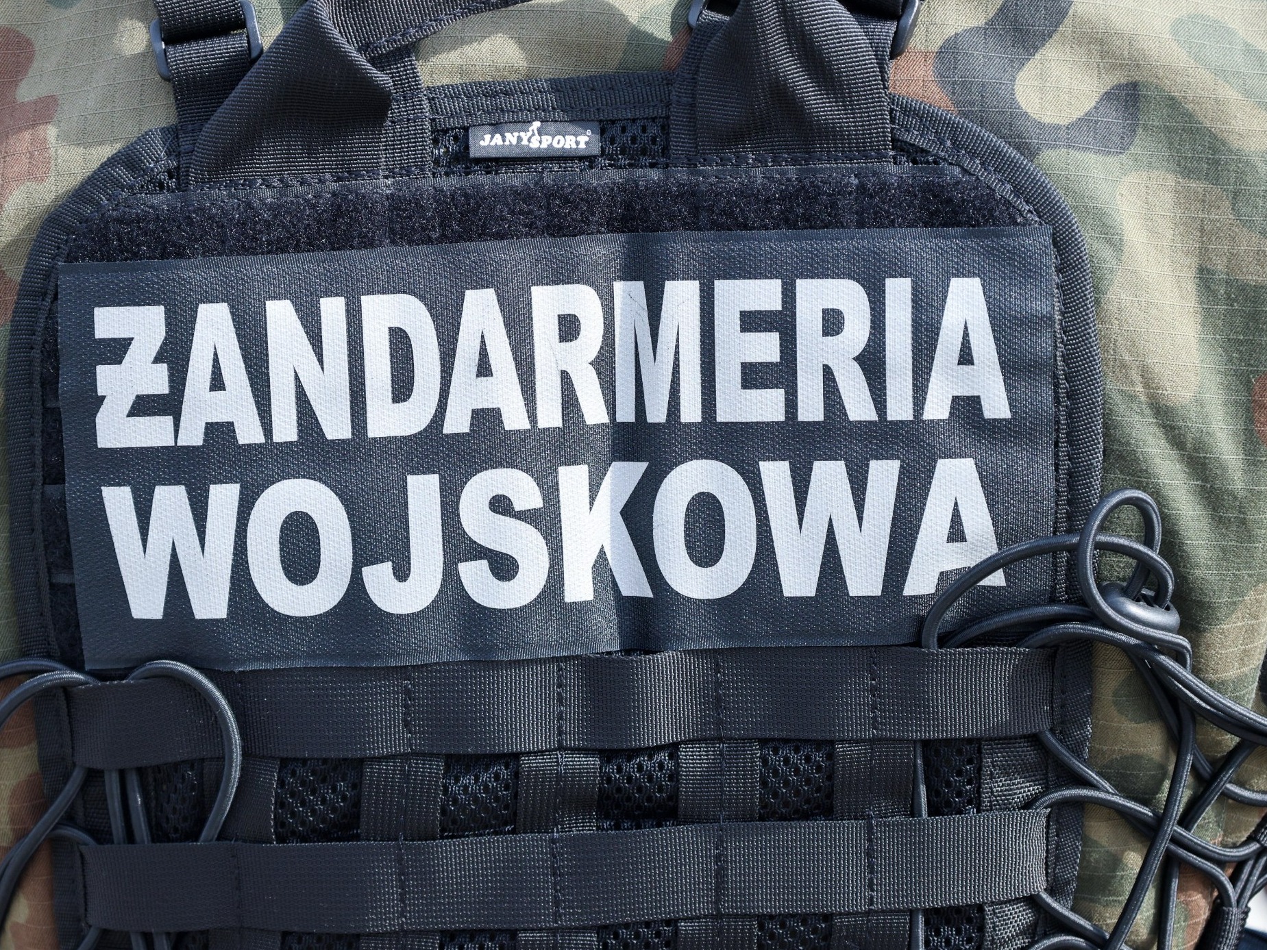 Fragment rakiety w sadzie na Lubelszczyźnie