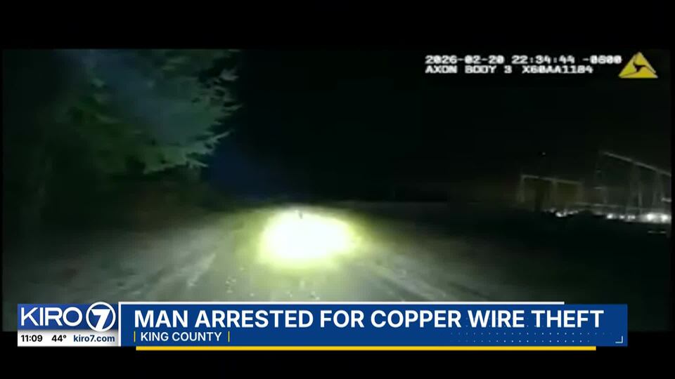 Video: Man arrested for copper wire theft at King County power station