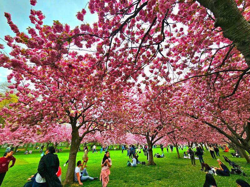 15 scenic gardens across the US that shine in springtime