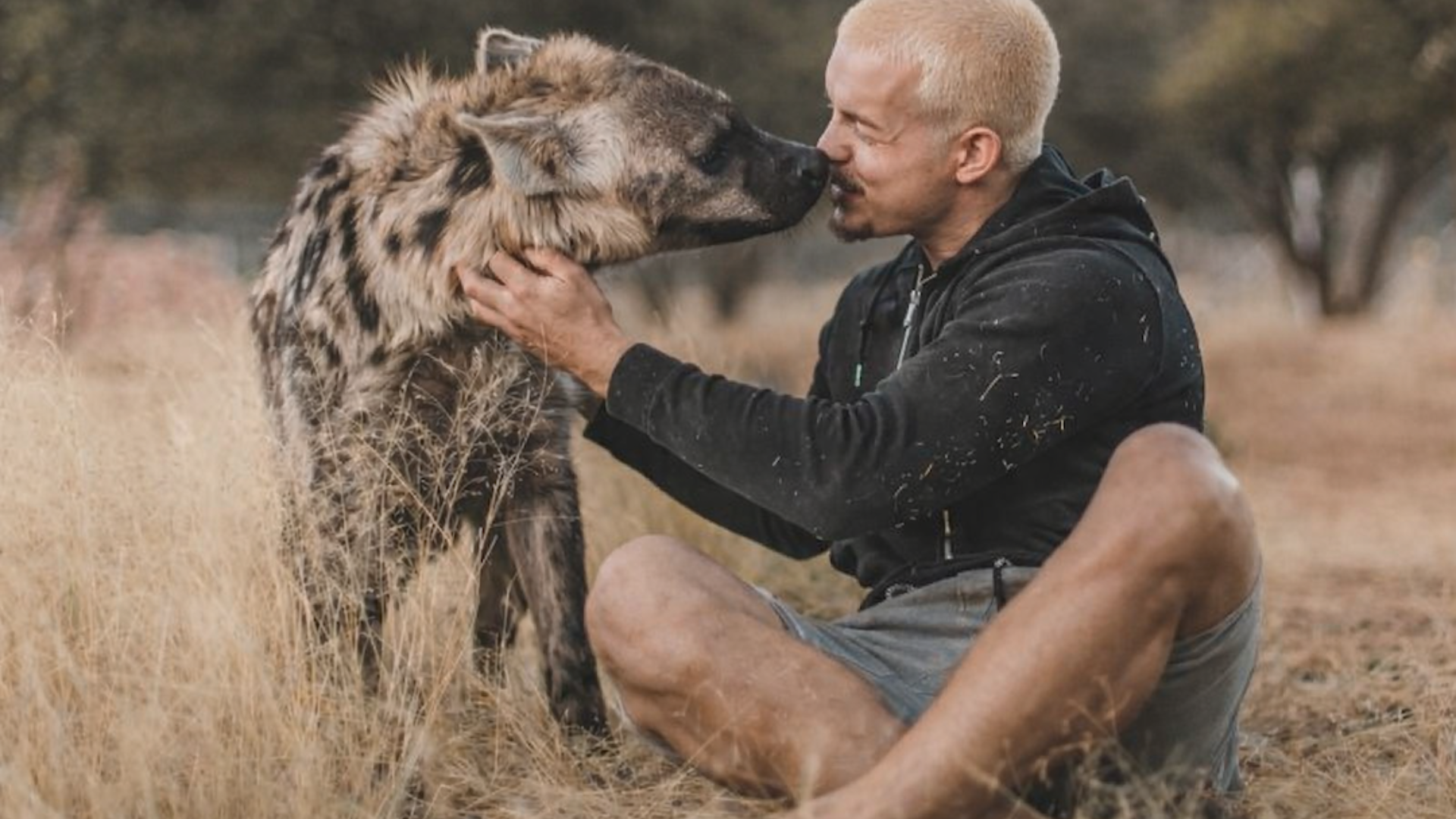 Cheetahs try their first natural meal