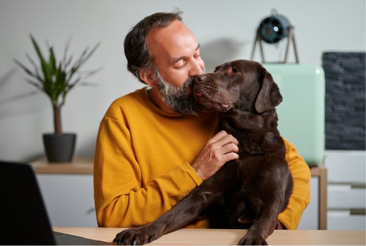 15 statements that may not go down well with a pet owner