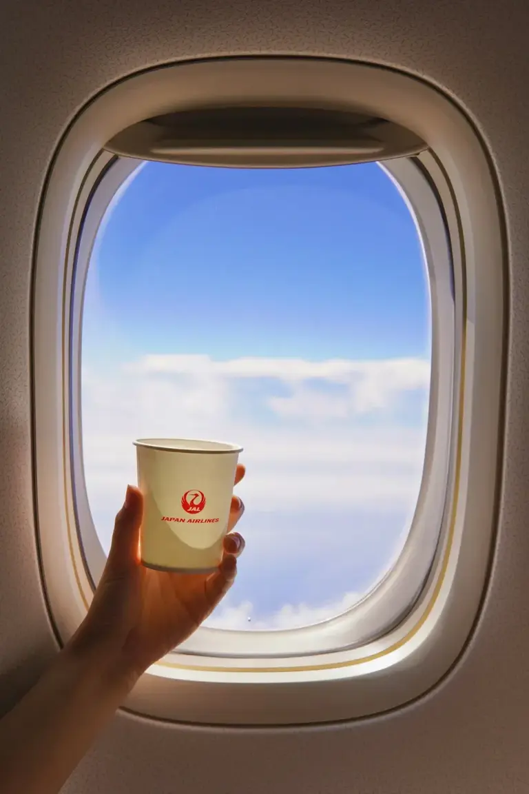A flight attendant reveals 7 things you order that make the crew ...