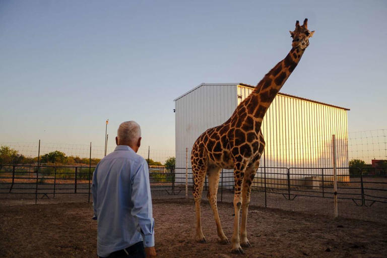 Laredo Safari & Adventure Park addresses animal abuse allegations made ...