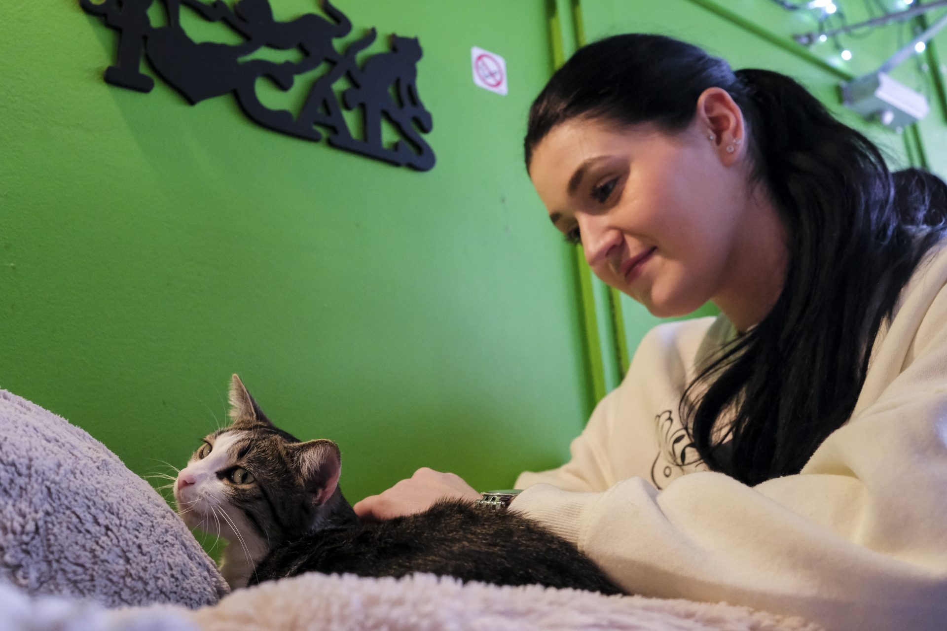 Generación Z: ¿Por qué prefieren gatos en lugar de perros?