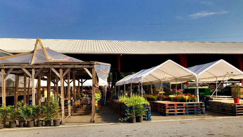 Old-fashioned North Carolina farm market that sells produce right from ...