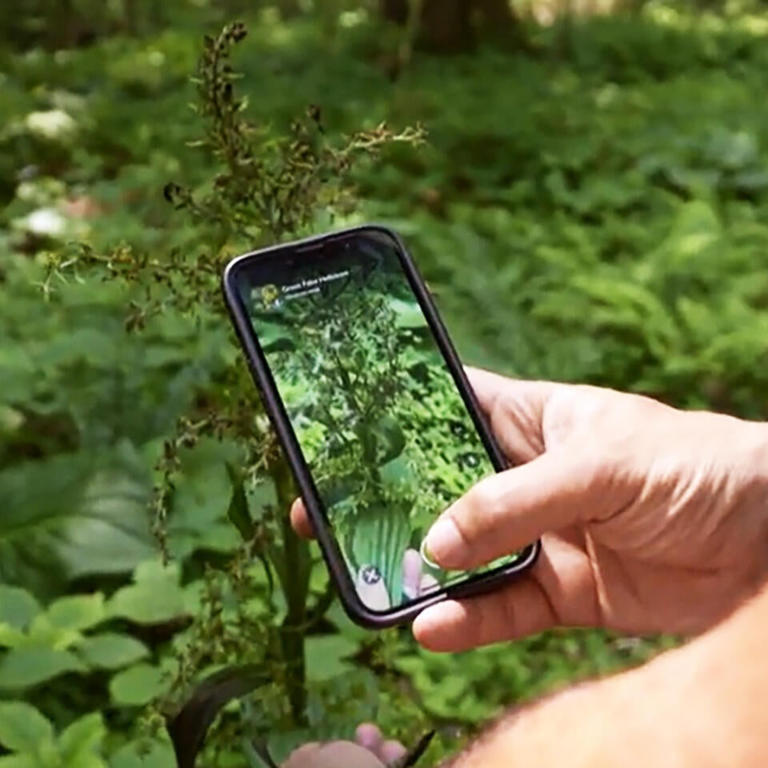 How iNaturalist app users have fun while aiding science