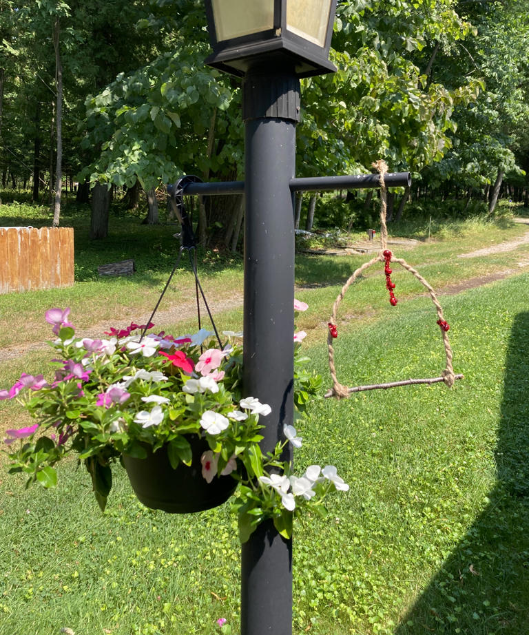 You don't need a hummingbird feeder – these 6 easy ideas will have them ...