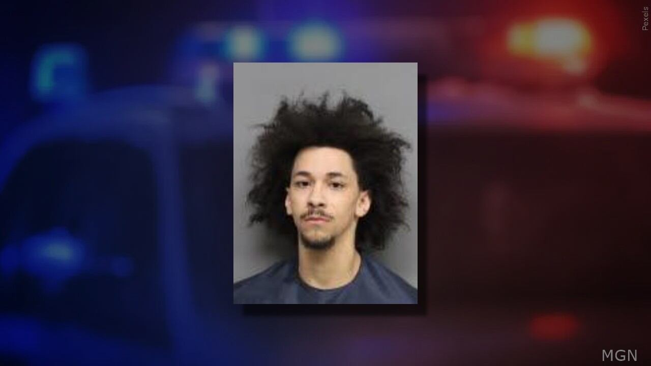 Lincoln police respond to large fight at Mahoney Park; teen arrested ...
