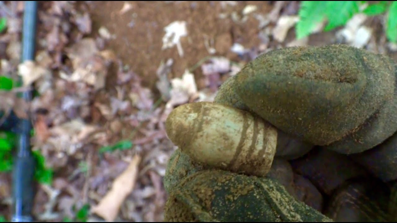 I uncovered chilling Civil War relics ⚔️