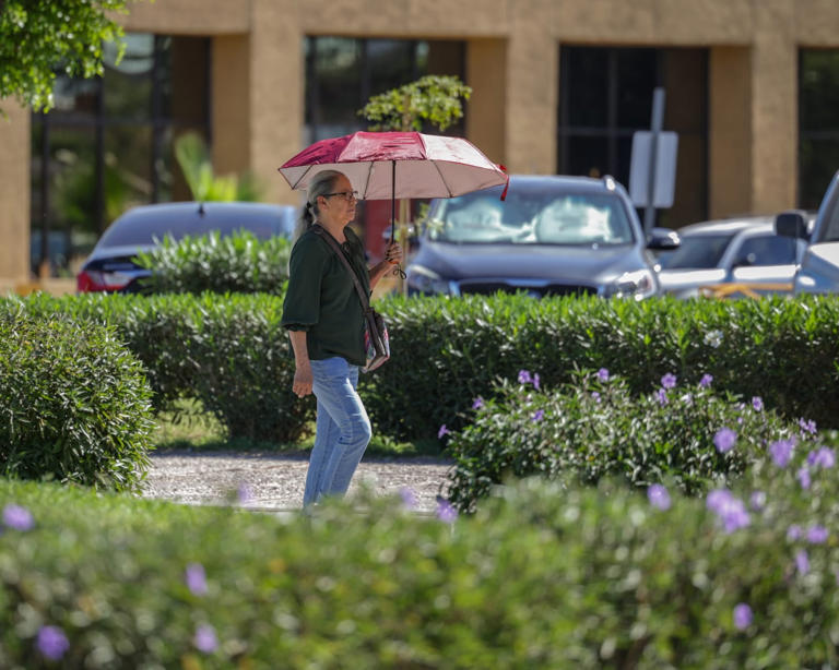 Clima Mexicali: pronostican día soleado con temperaturas de hasta 37 grados