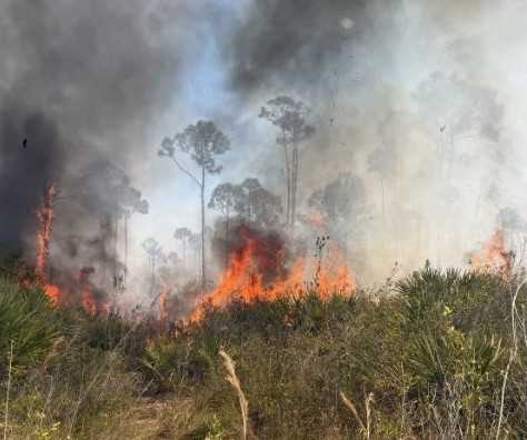 Brush fire sparks in Hobe Sound, crews working to contain flames