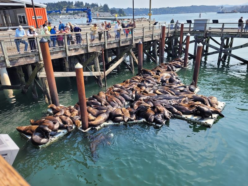 This Oregon waterfront restaurant serves sunset views that make dinner ...