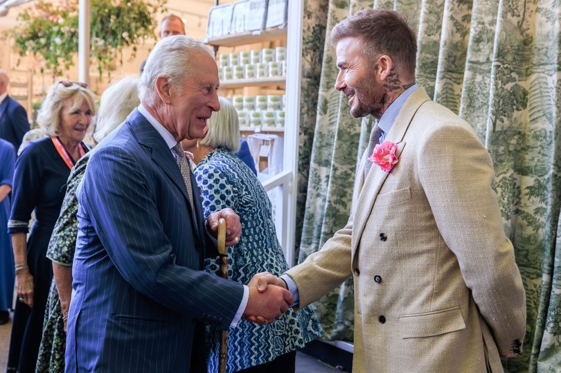 David Beckham to unveil his special new Chelsea garden as he moves on ...