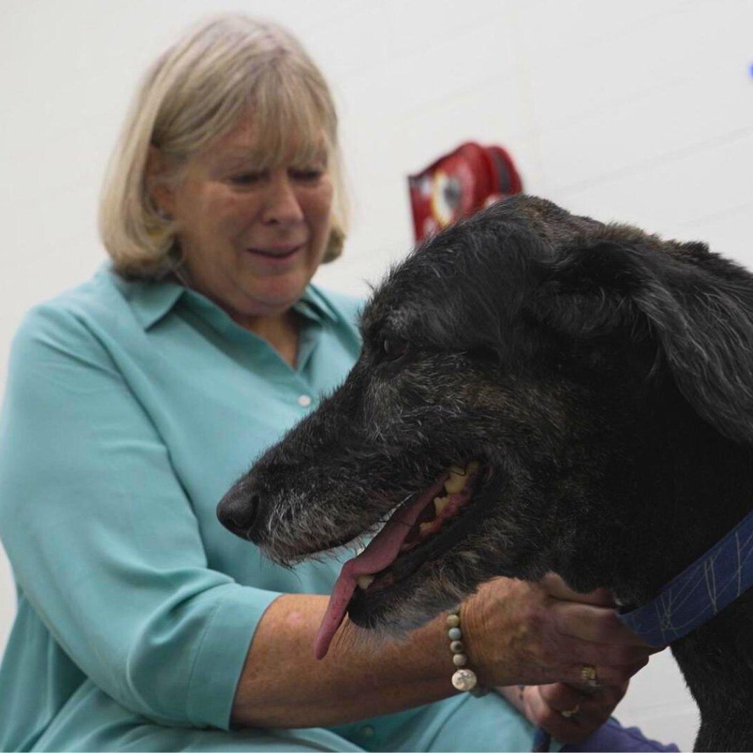 Dog aging research may help canines, people live longer and healthier