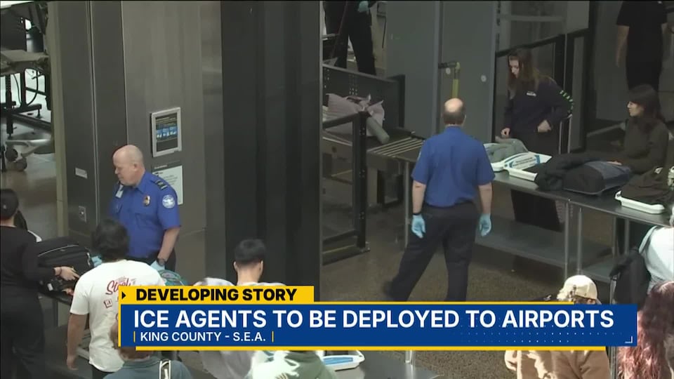 Video: ICE agents could be deployed for airport security