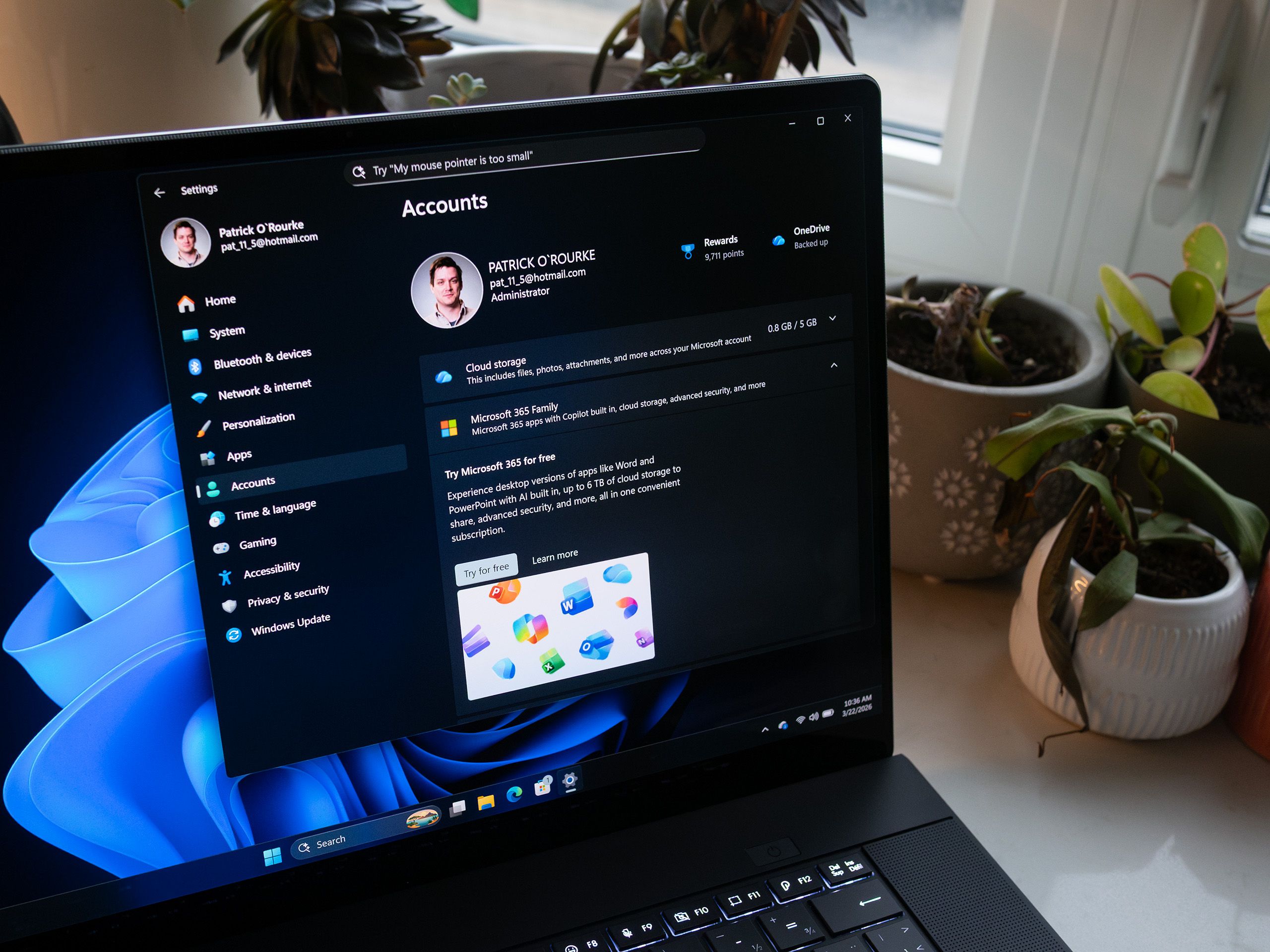 Windows 11 could soon let you skip its Microsoft account sign-in ...