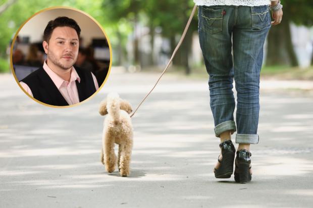 Dear Dicky - My neighbour's dog muck is putting me in a foul mood