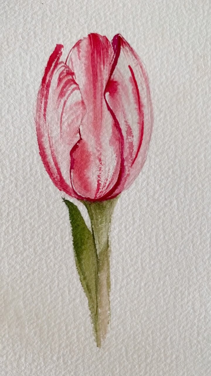 From soft strokes to stunning tulip in watercolor