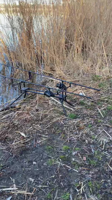 Carp fishing insights improve results