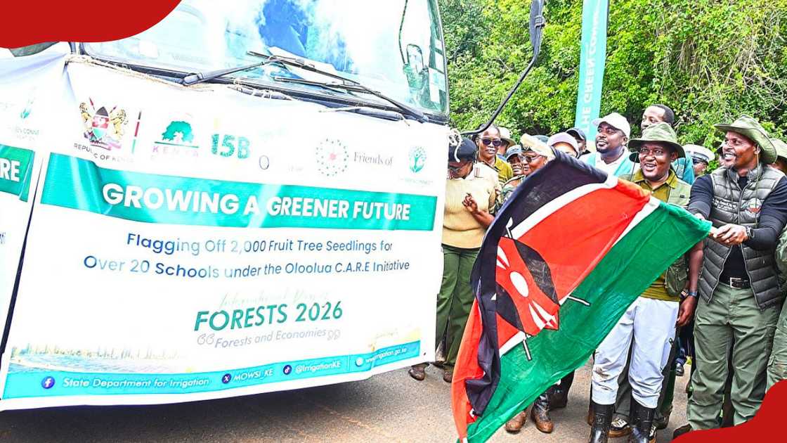 Ololua Forest restoration drive launched as PS Kimotho marks ...