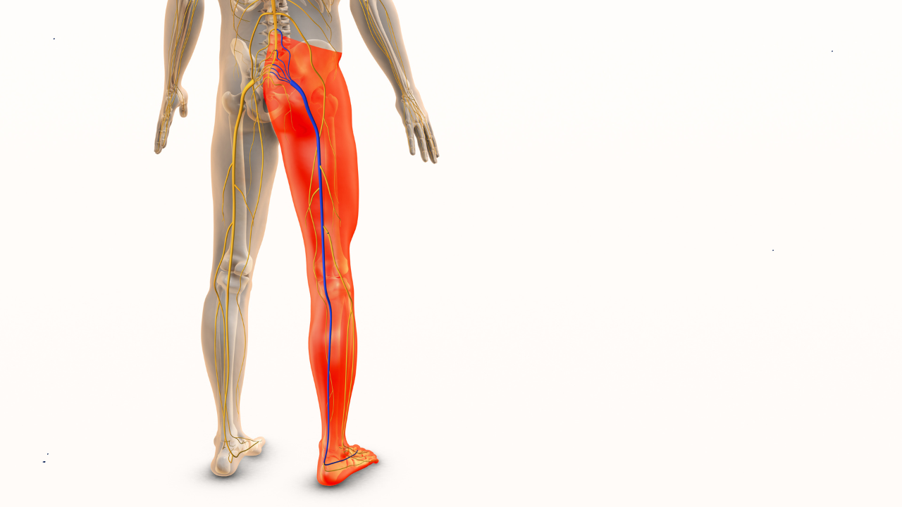 How leg stiffness impacts spine health: Tips for Gen Z fitness enthusiasts
