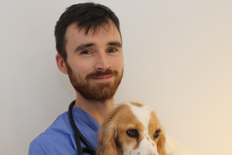 I'm a vet and there are seven dog breeds I would never recommend