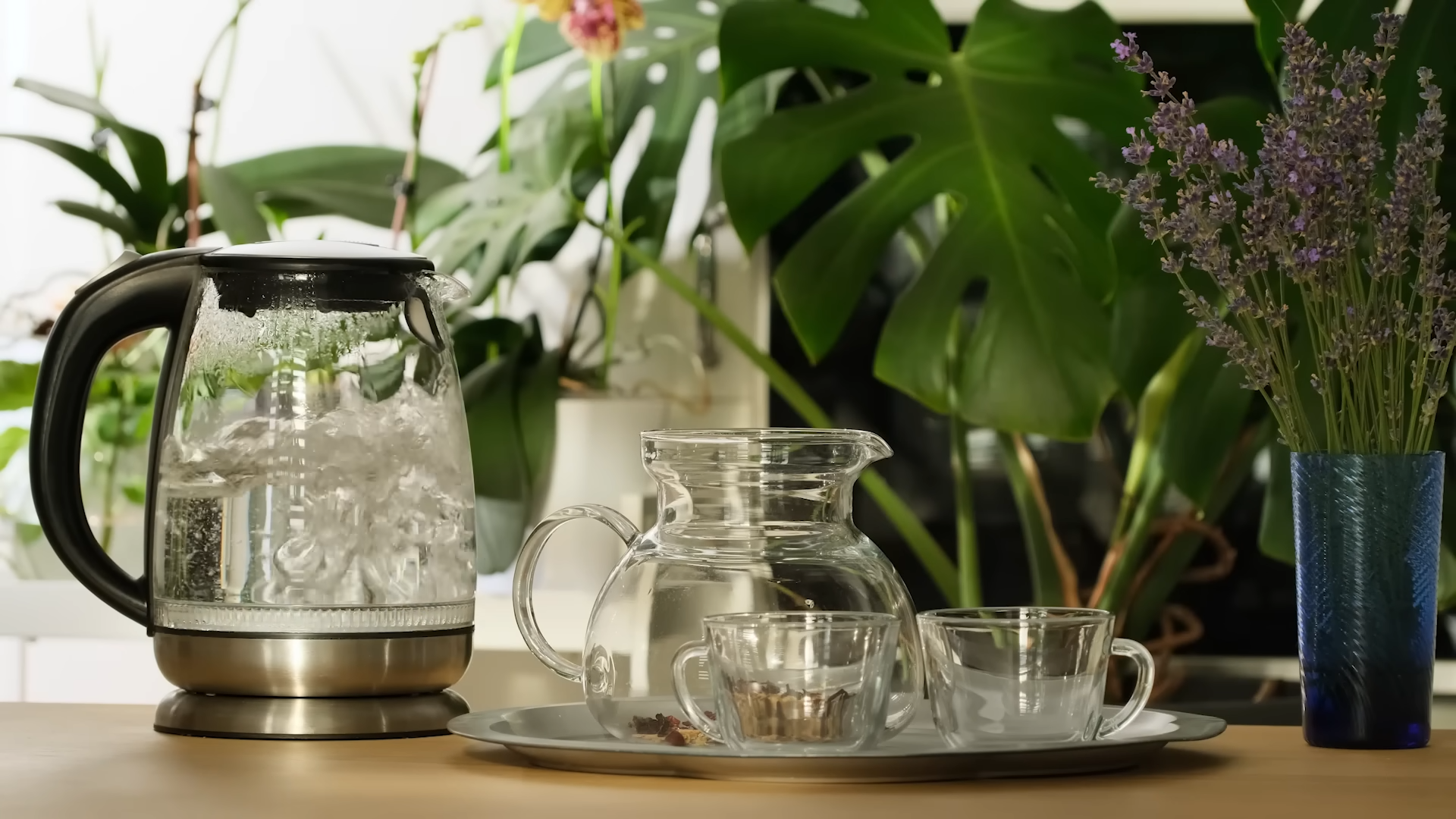 Café, té y mate: nadie te advierte que pueden causar cáncer