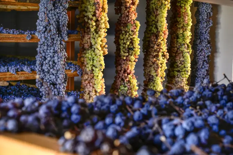È il momento della Valpolicella: l’Italia candida il rito dell ...