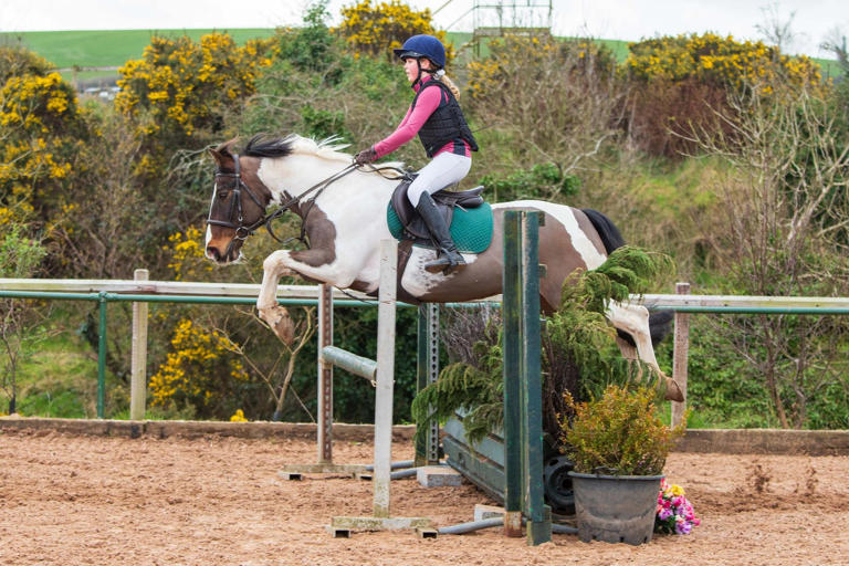 Horse Week: Derby and Balmoral qualifiers held at Lusk's