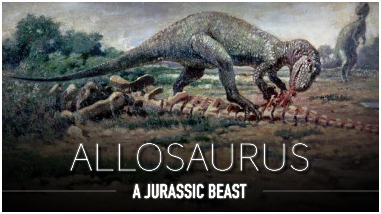 The apex predator of the Morrison Formation