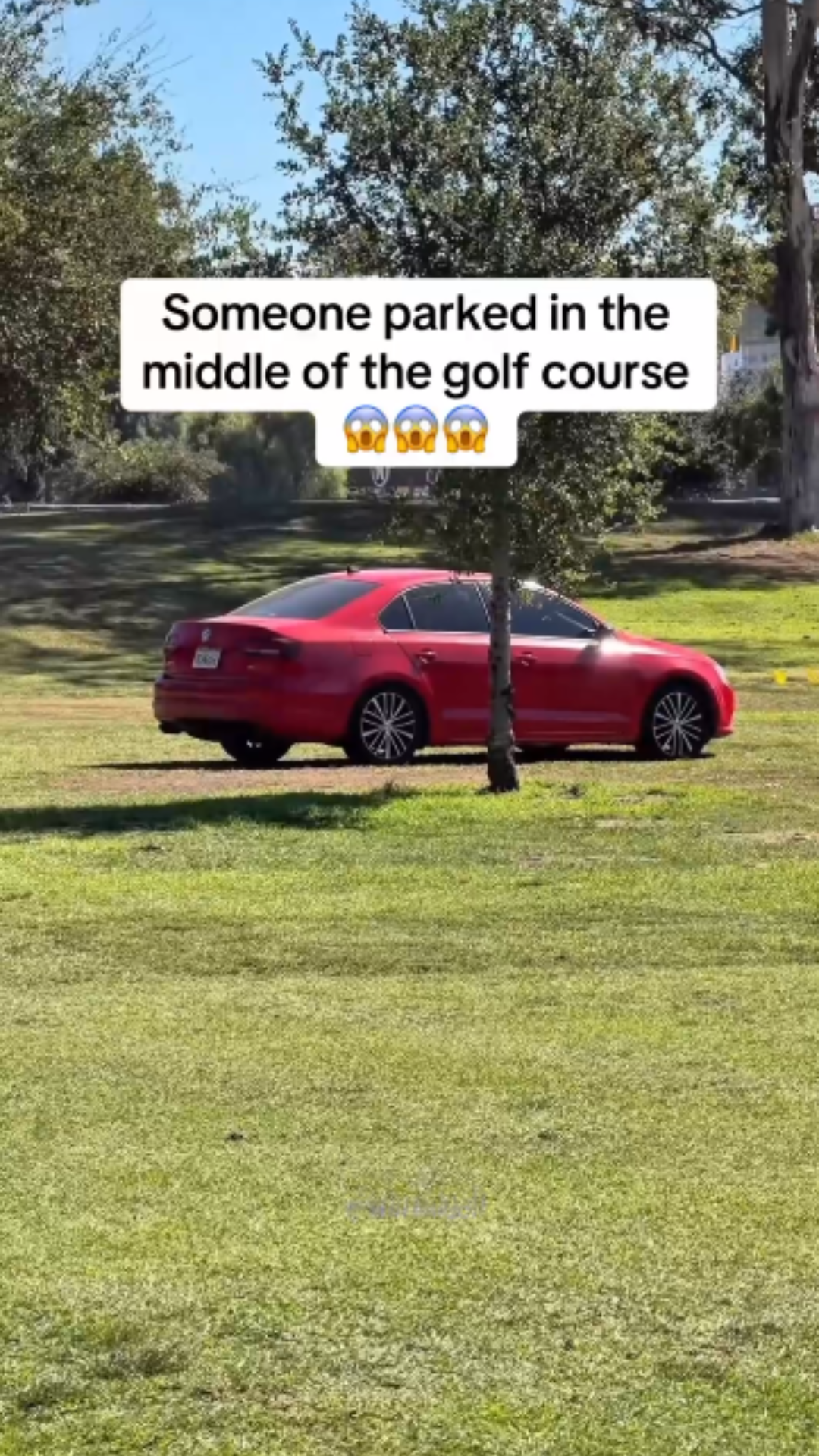 Second hole surprise: An unexpected moment on the golf course