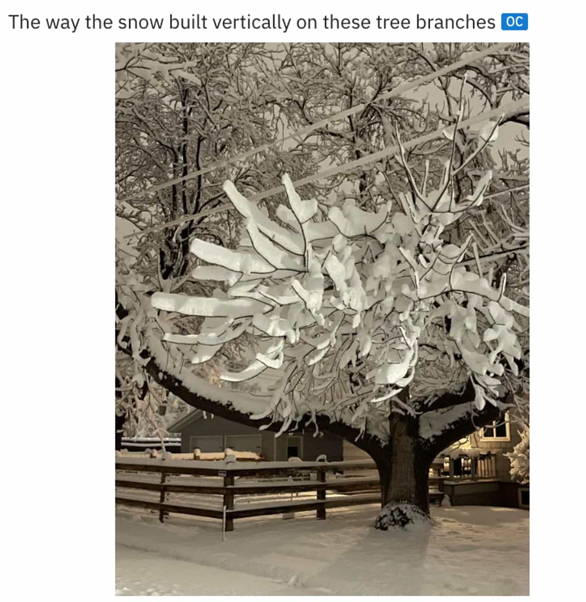Mildly interesting pictures