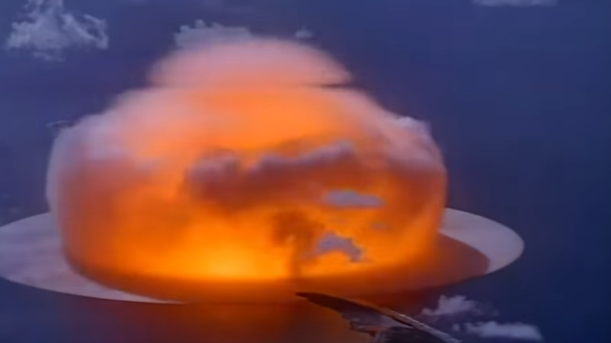 Watch what happens after the next nuclear disaster - when animals ...