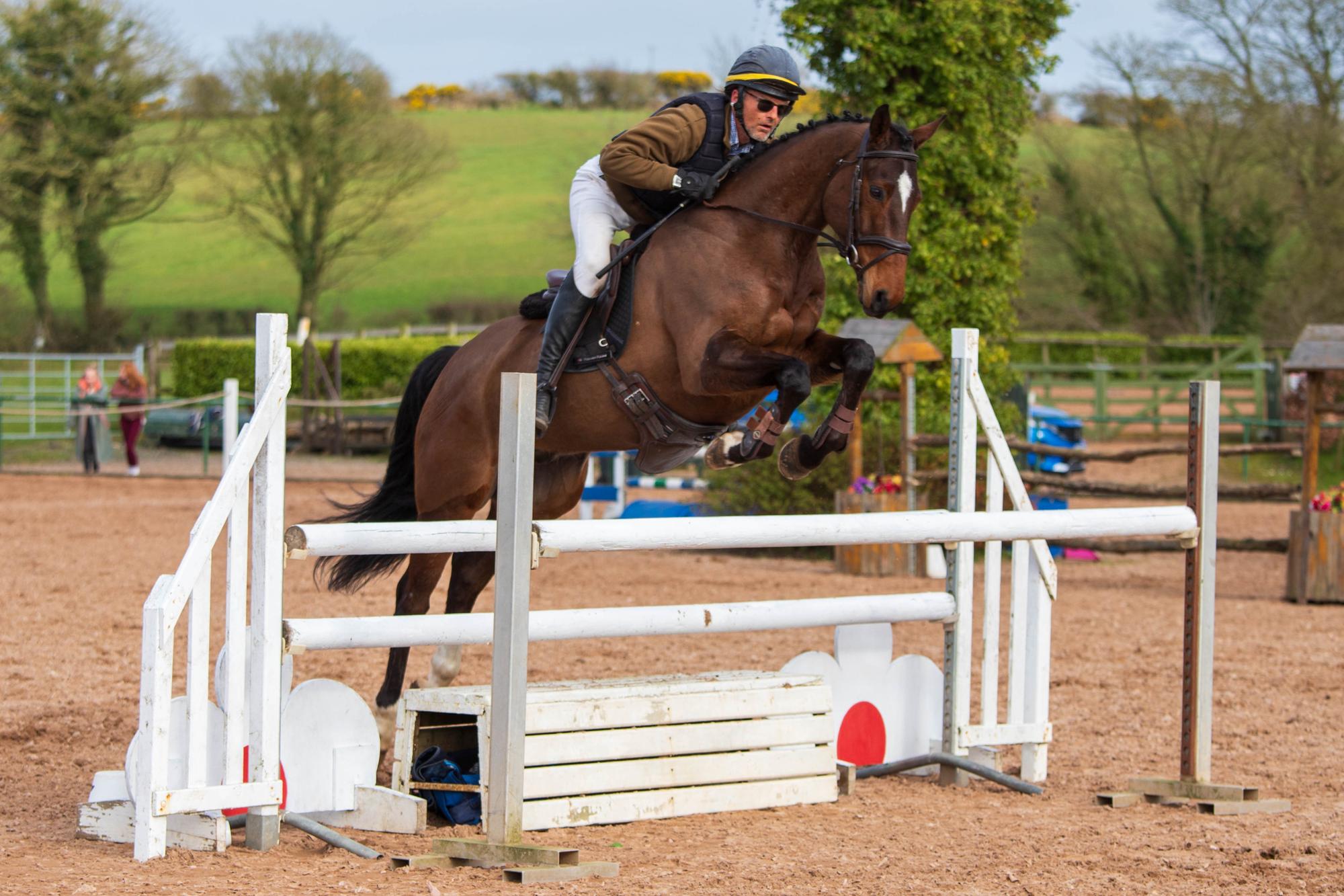 Horse Week: Derby and Balmoral qualifiers held at Lusk's