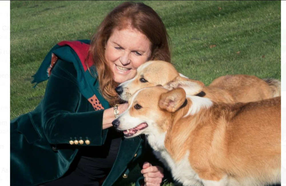 Sarah Ferguson denies she plans to take part in reality TV show ...
