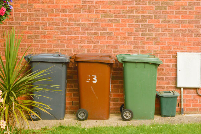 What to do when your neighbour uses your bin without asking