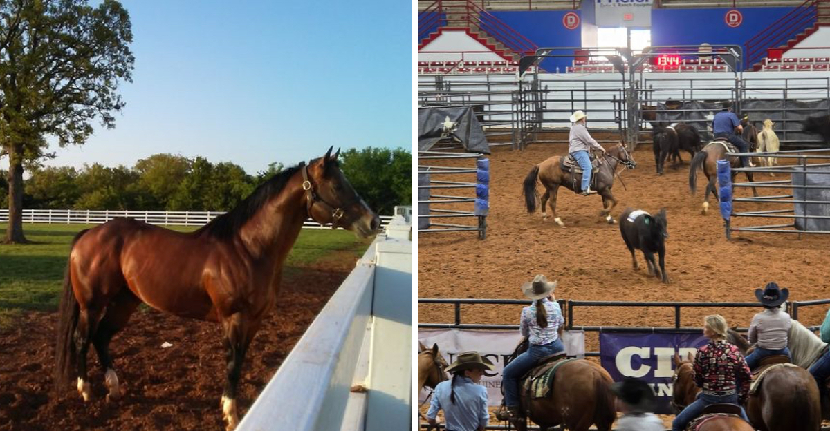 The massive Oklahoma equestrian arena that feels like the heart of ...