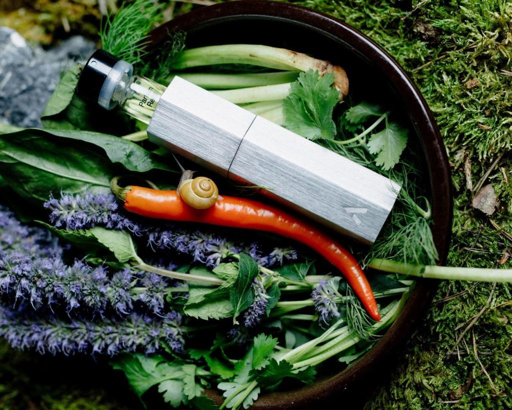 Ascent : un seul spray de ce parfum de niche dure jusqu'à 12 heures