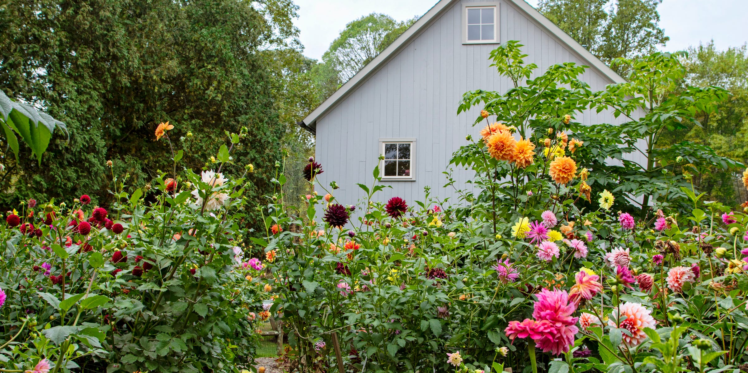 The secret to a cottage garden that comes back more beautiful every year