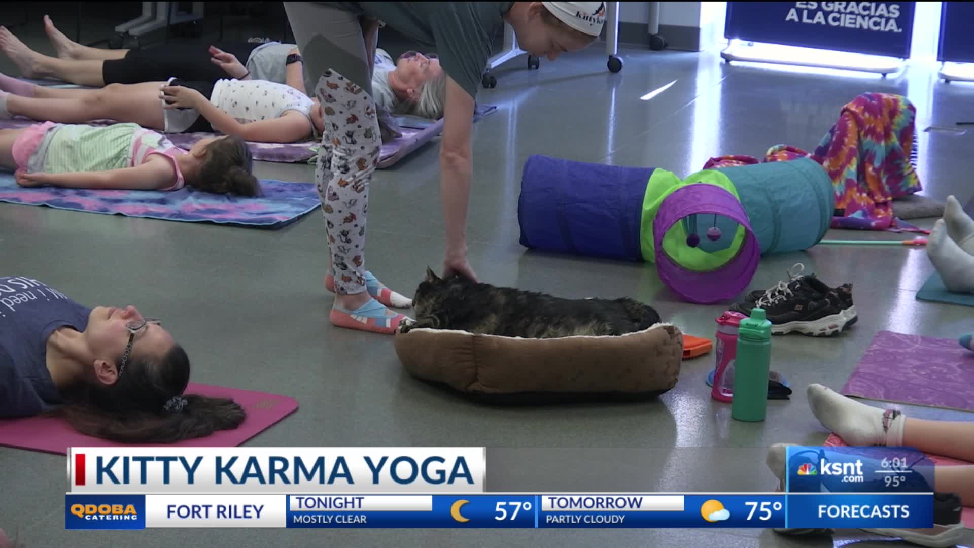 Helping Hands Humane Society hosts annual Kitty Karma Yoga