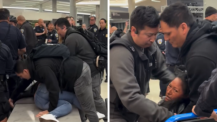 TSA alerted ICE about woman, daughter before their arrests at San ...