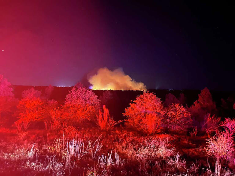 40-acre wildfire erupts in Bastrop State Park amid dry, windy conditions