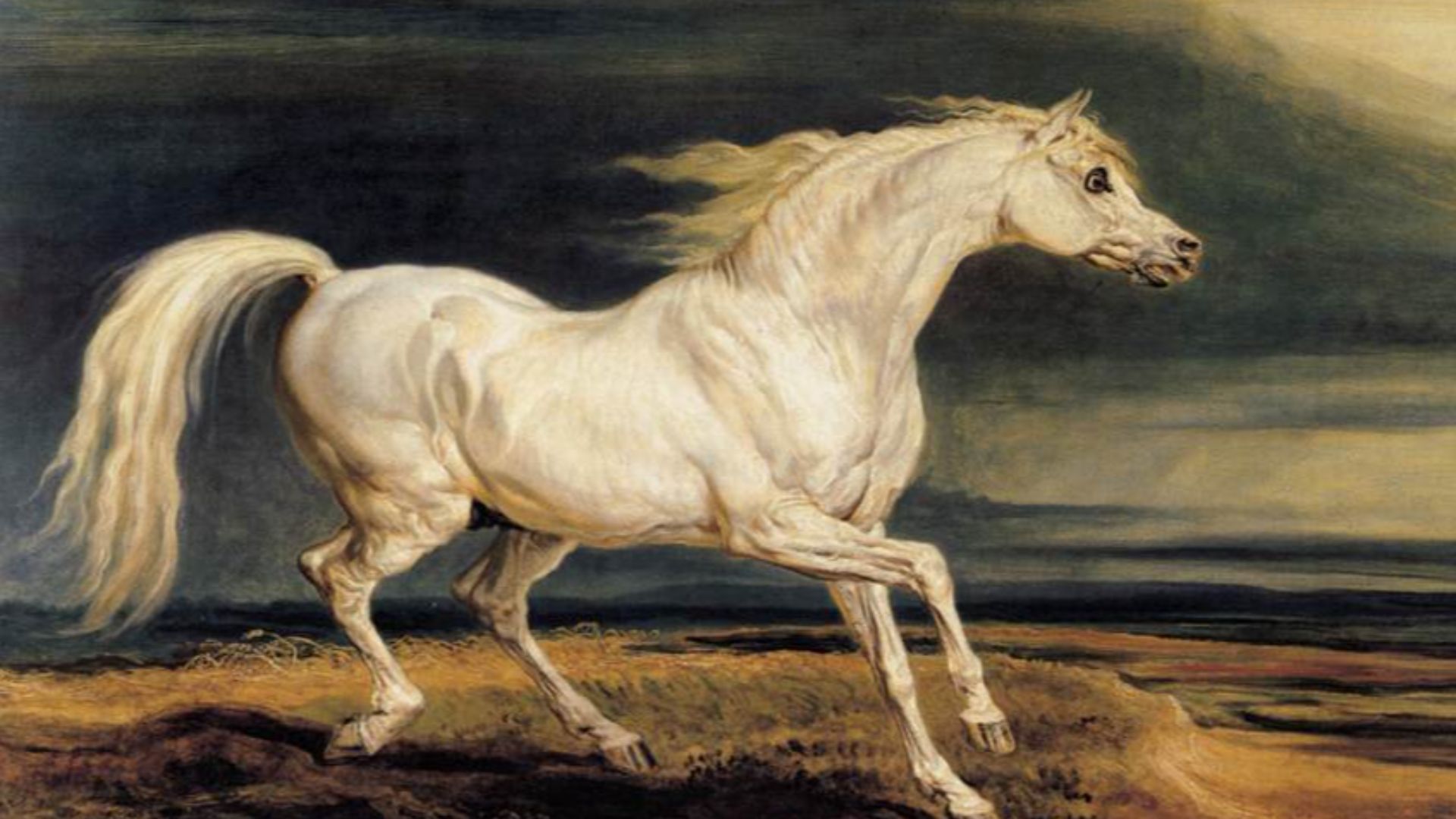 20 most famous horses in history