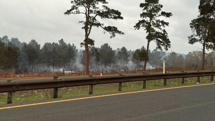 Wildfire evacuations near Bastrop State Park lifted; 46-acre fire now ...