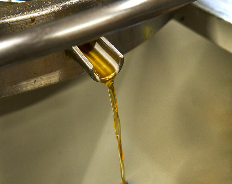 Energy security: Canada should drill more oil not less