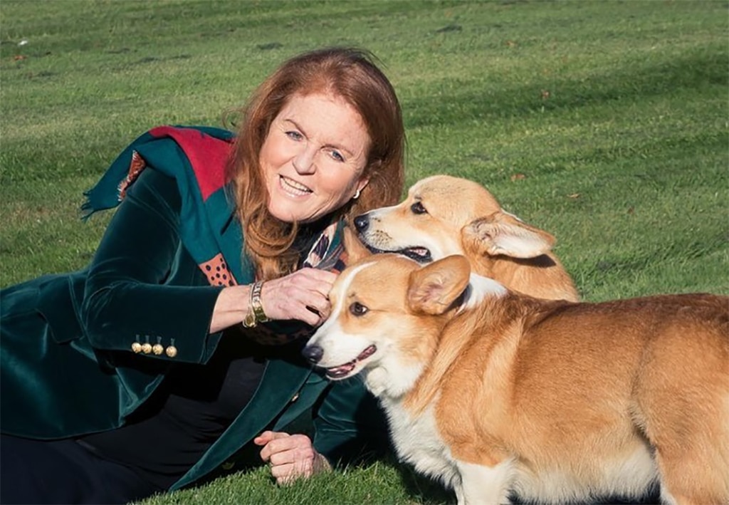 Sarah Ferguson’s rep clarifies rumor Queen Elizabeth’s dogs are cloned