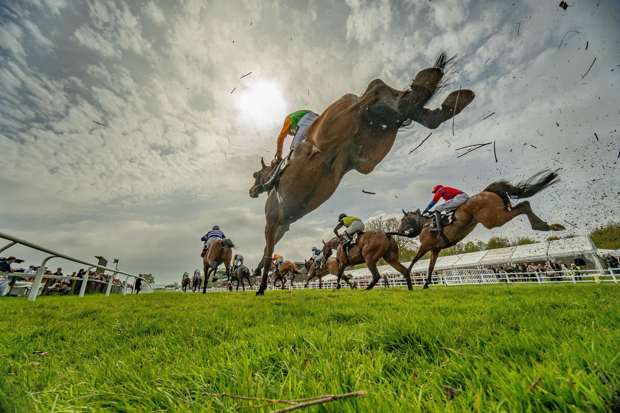 Win family tickets to Plumpton Racecourse’s Easter Festival