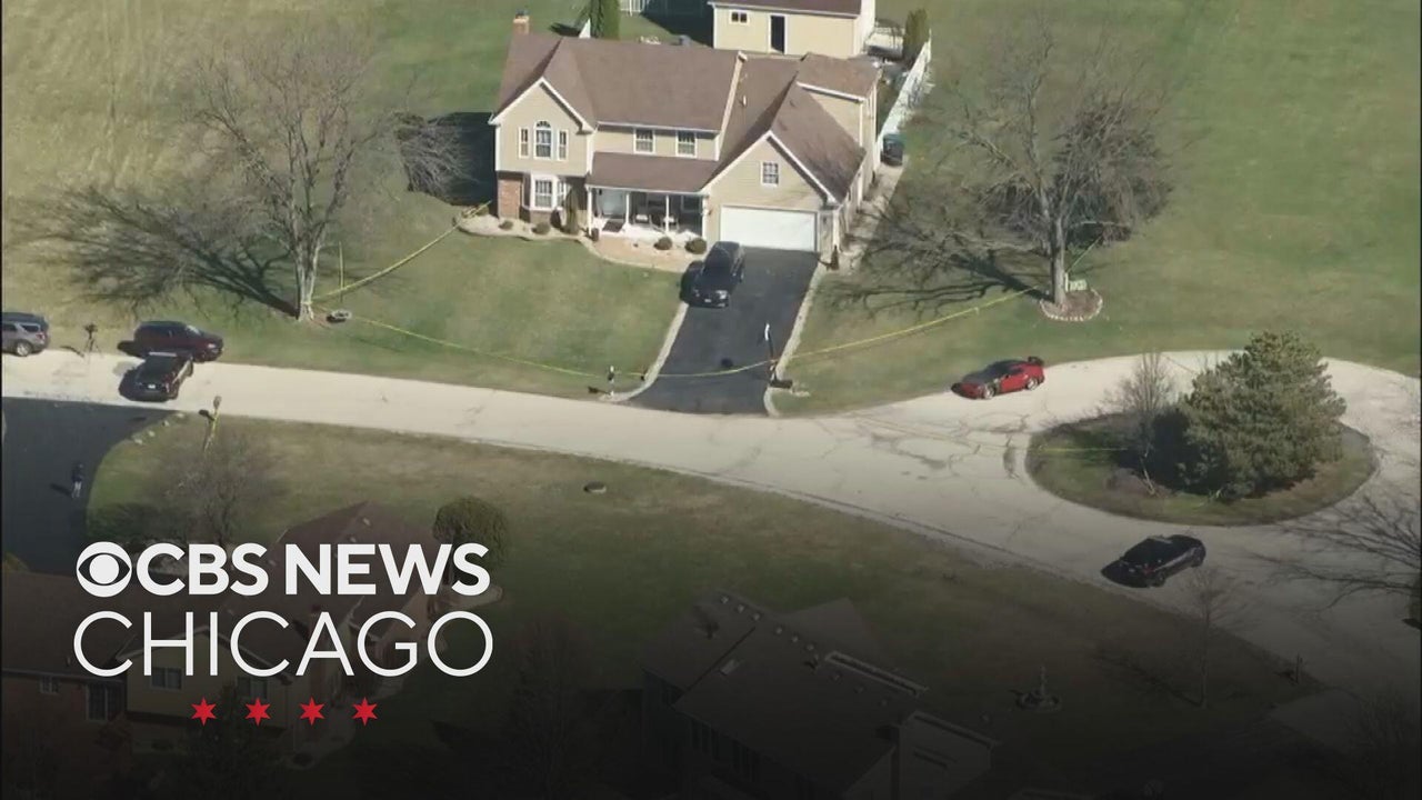 1 in custody for triple homicide in Will County, Illinois