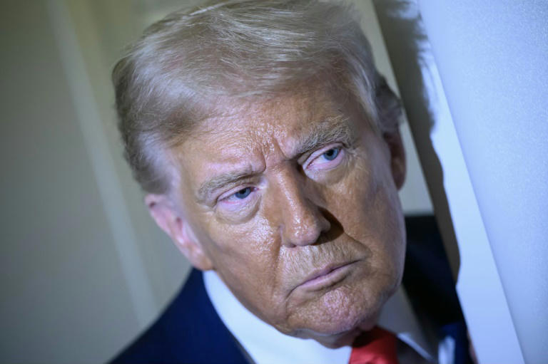 Trump's Palantir investment puts spotlight on firm's expanding ...